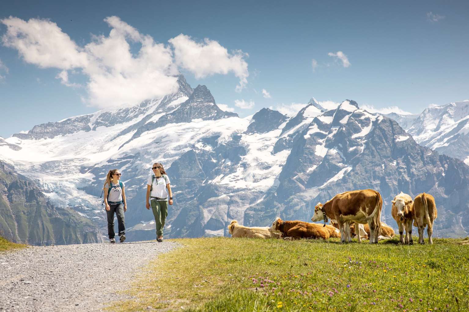Summer maps - Grindelwald Tourism